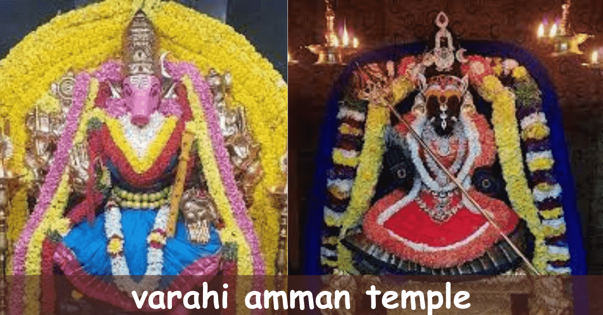 The Mysterious Powers Of Varahi Amman: Exploring The Enchanting Varahi ...