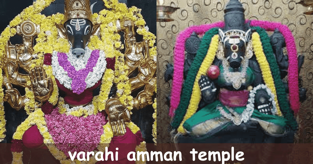 The Mysterious Powers Of Varahi Amman: Exploring The Enchanting Varahi ...